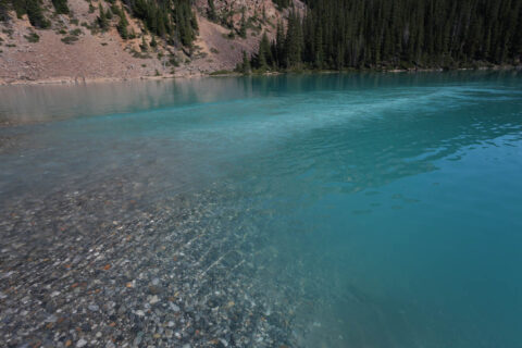 Banff National Park Nature Guide