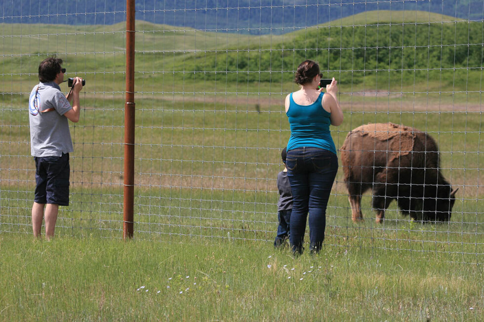 Waterton Lakes National Park Nature Guide