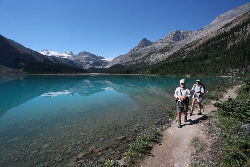 Icefields Parkway Travel Guide