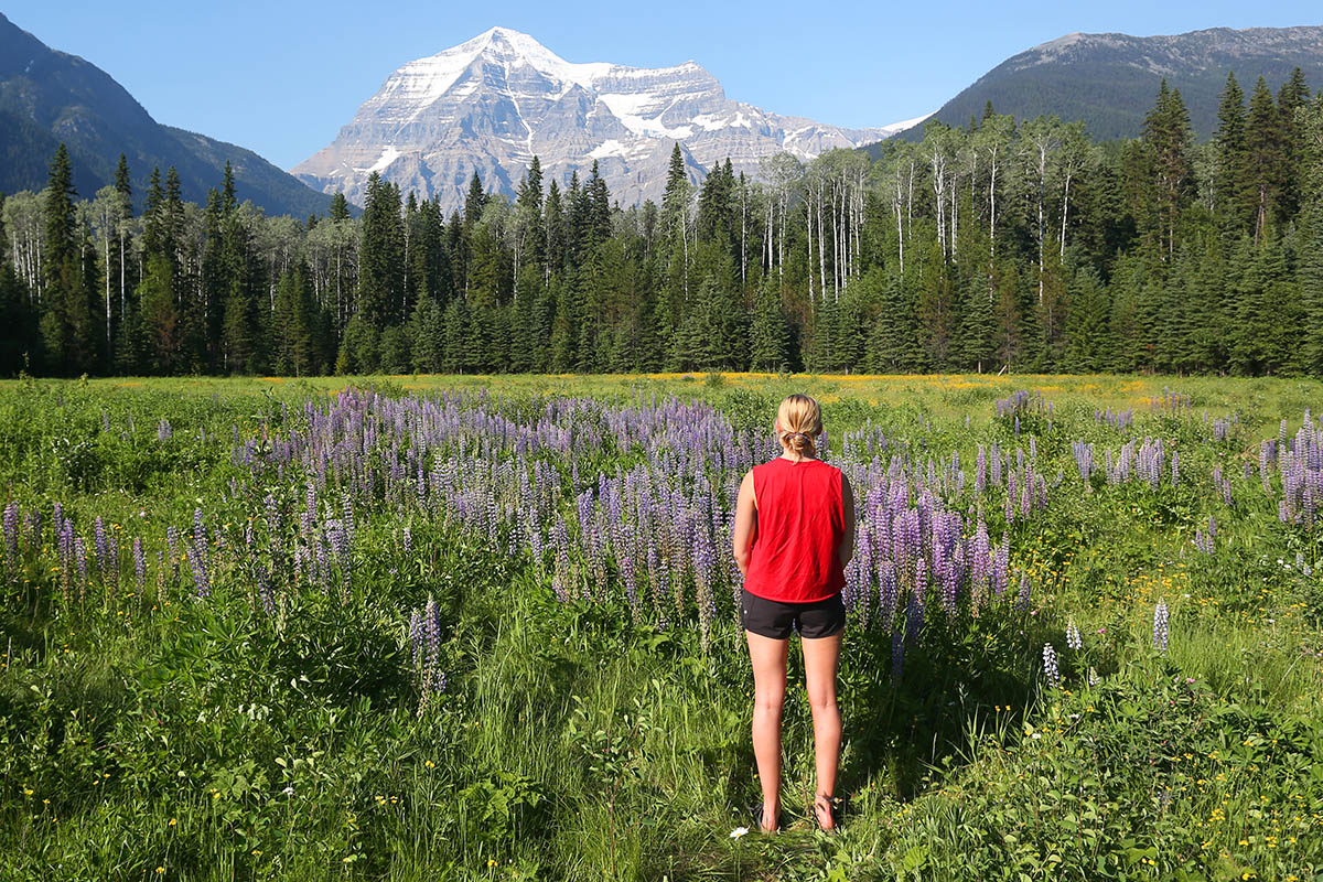 Canadian Rockies Highest Peaks